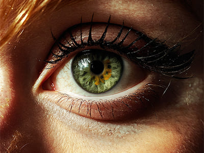 L'œil, un point dans le cercle